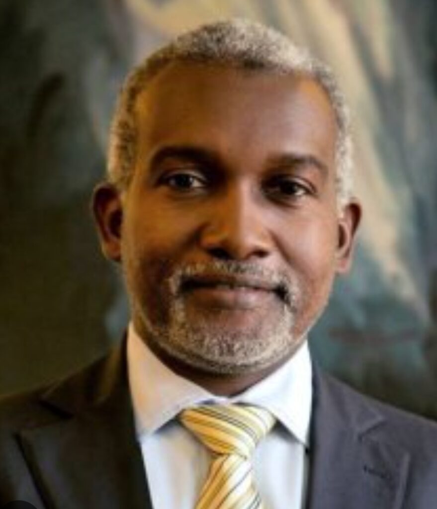 Hon Ambassador Tuggar is a Round Peg in a Round Hole - Diaspora ...