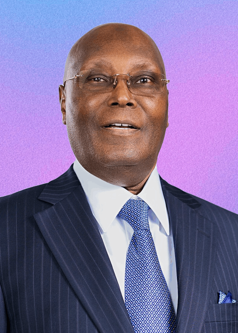 2027 NEW PARTY - "ADA Rises”: A Daughter of Hope, a Promise of ...